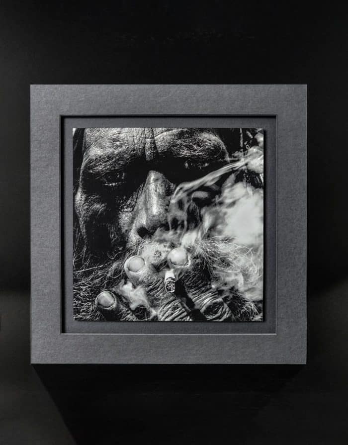 MODERN FLOAT MOUNTED ARTWORK - Dawsons Framing